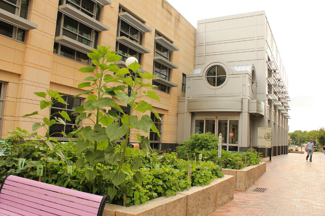 Friends Foundation | Iowa City Public Library - Friends Foundation